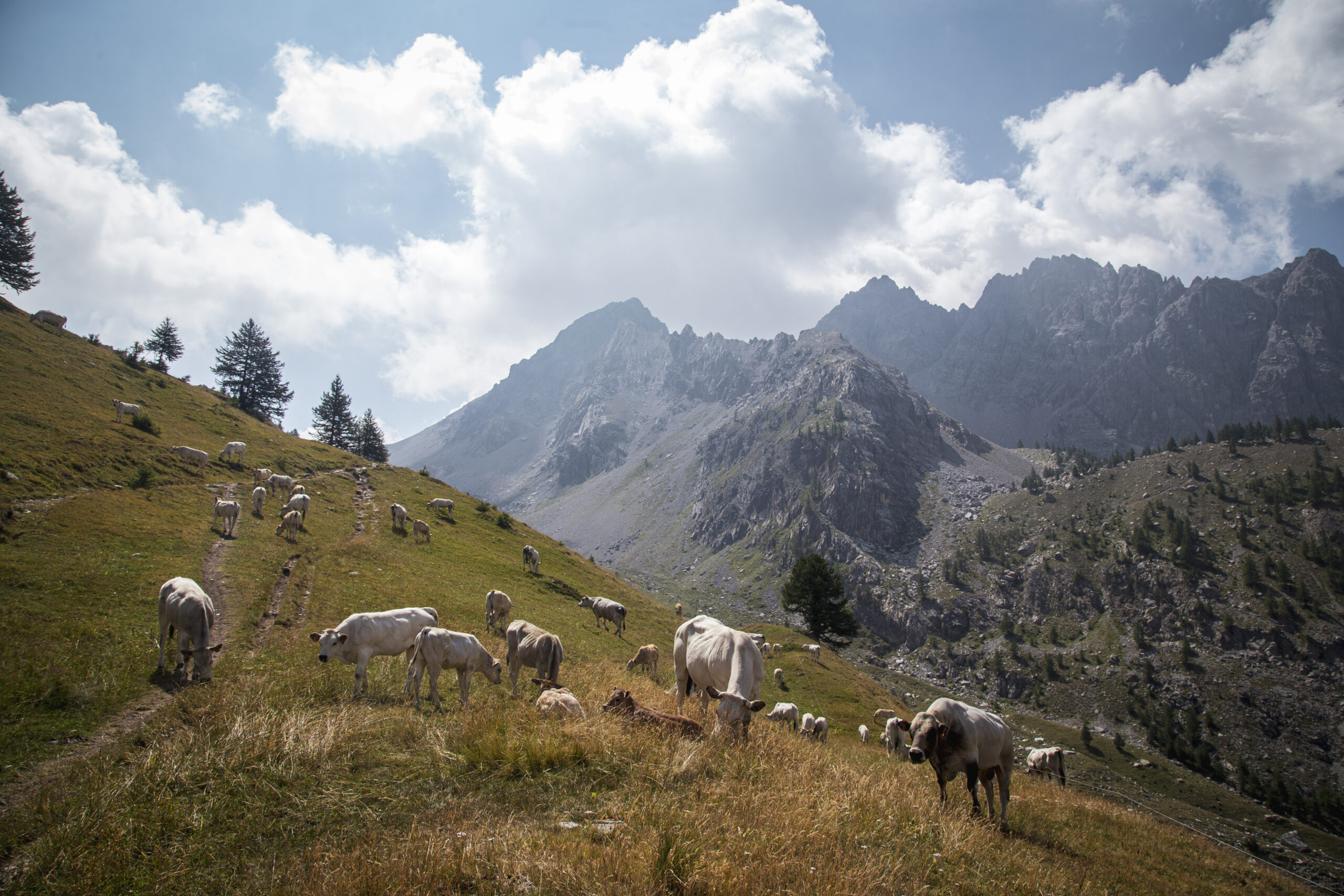 Val Maira Experience – Skialper magazine